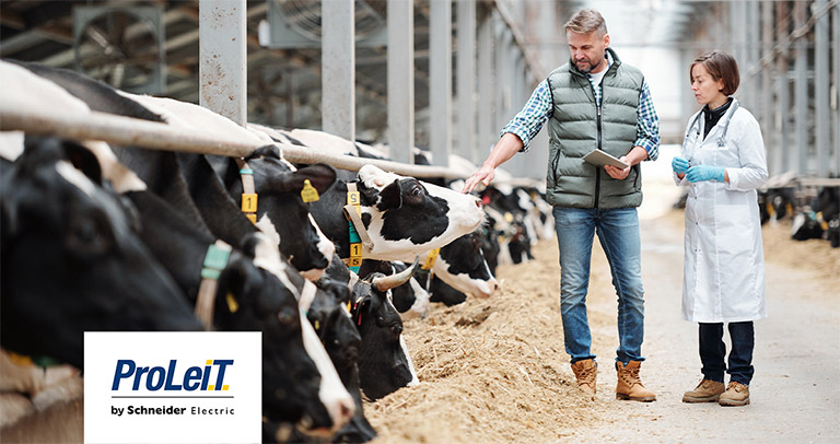 ProLeiT, process control engineering specialized for IFS/GMP-compliant ...